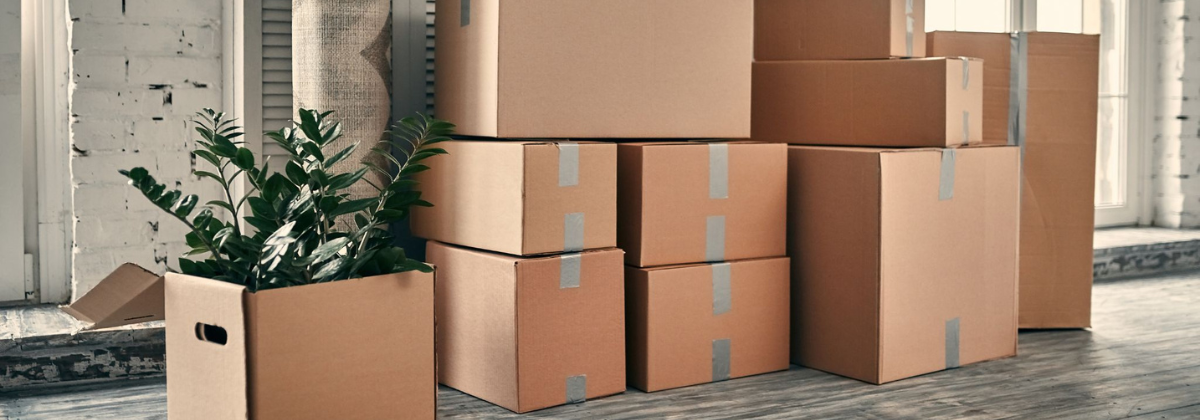 Understanding RSC Boxes: Features, Benefits, and Industrial ...